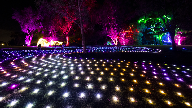 Review: Lightscape at Kings Park and Botanic Garden – X-Press Magazine ...