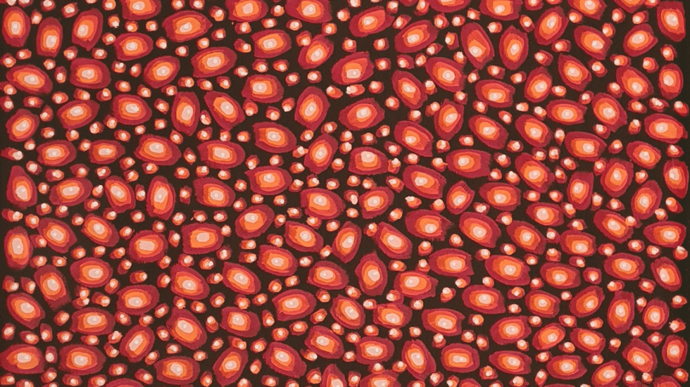 Desert Stars brings First Nations art from the red centre to the coast ...