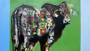 Finalists compete for Western Australia’s top art prize – X-Press ...
