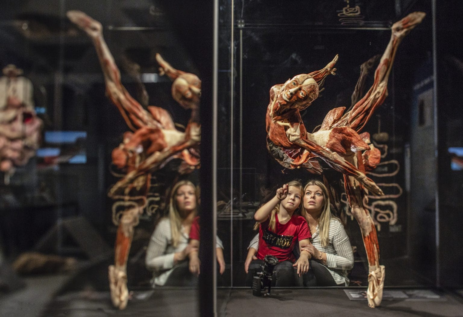 The ‘Anatomy of Happiness’ laid bare in BODY WORLDS exhibition – X ...