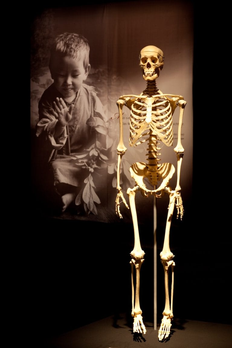 Review: Body Worlds: The Anatomy of Happiness – X-Press Magazine ...